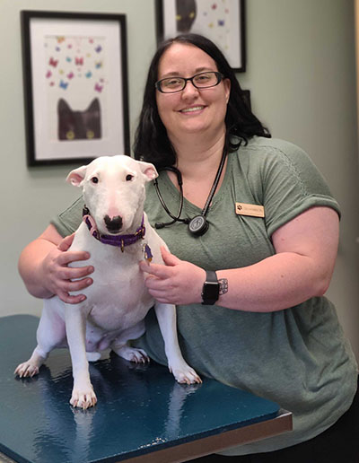 Androscoggin Animal Hospital - United Veterinary Care