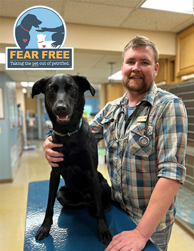 Androscoggin Animal Hospital - United Veterinary Care