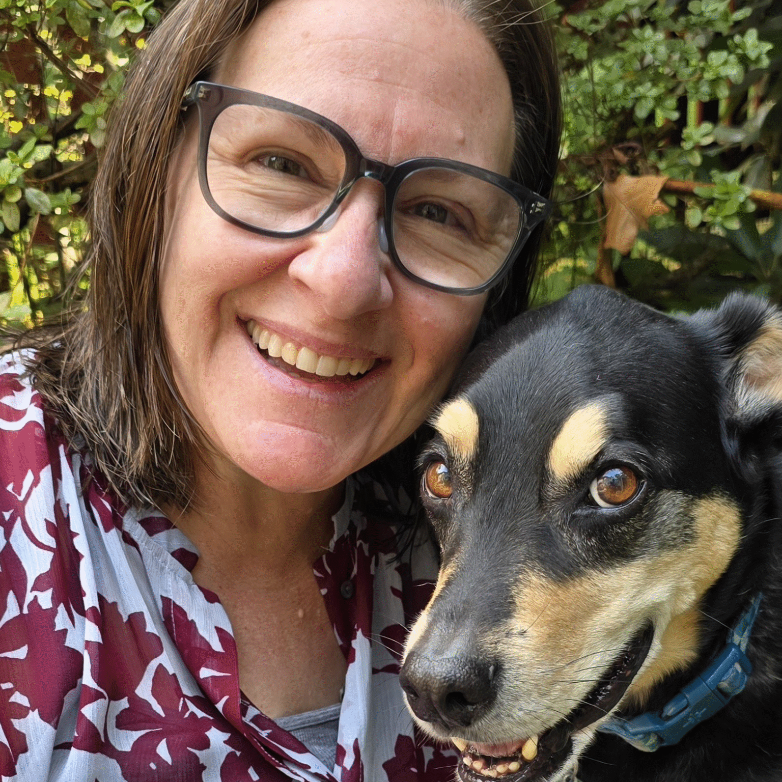 United Veterinary Care Locations | National Veterinary Group